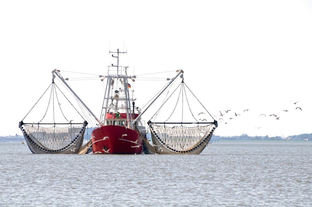 Suhyup to hire manager for domestic stock mandate | Asia Asset Management